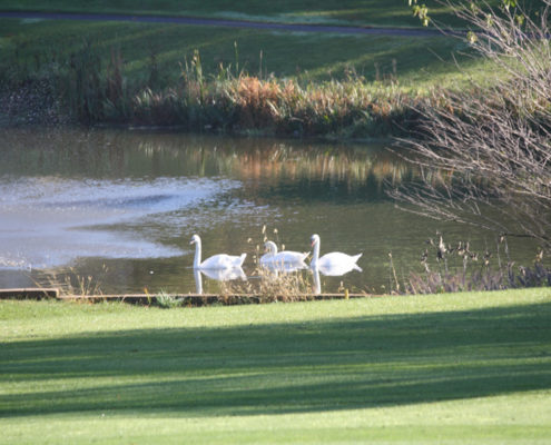 Course Information | Crossgates